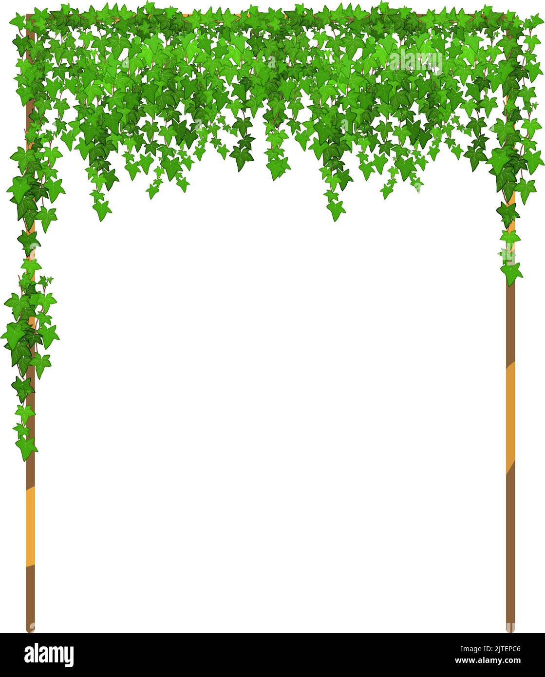 Decorative column for garden or home.Green vine, creeper or ivy hanging ...