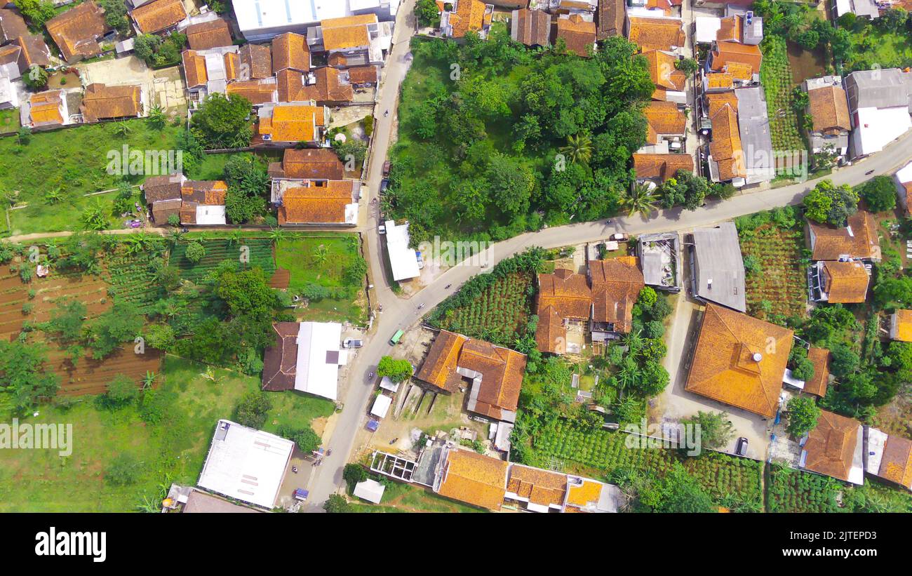 A top view of houses, streets, and trees in a village, aerial shot ...