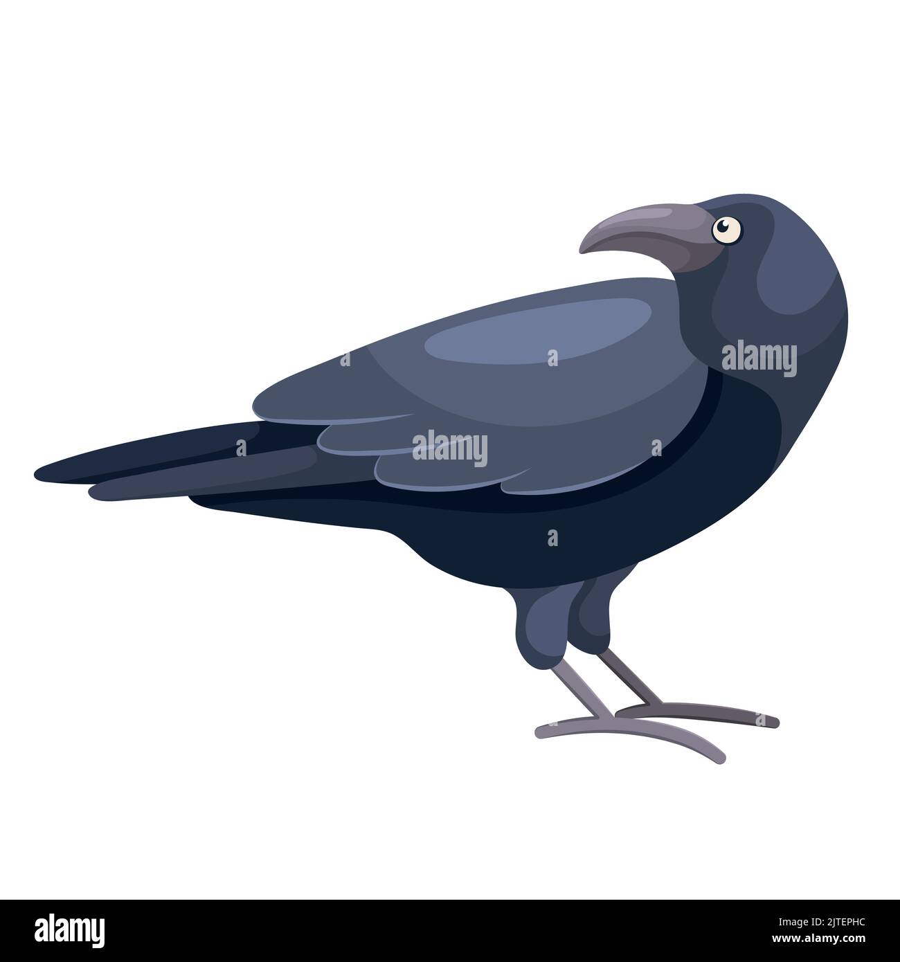 Cartoon crow hi-res stock photography and images - Alamy