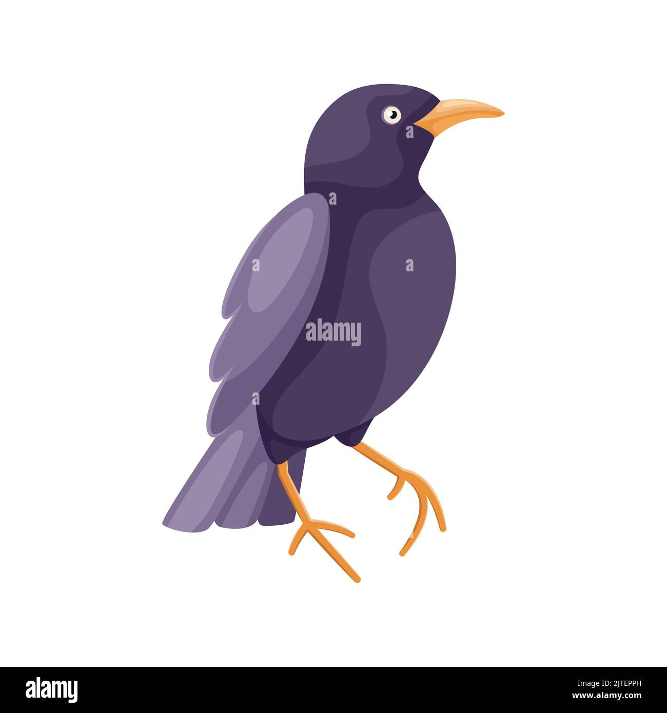 Cartoon standing thrush in flat style. Cute colorful city bird ...