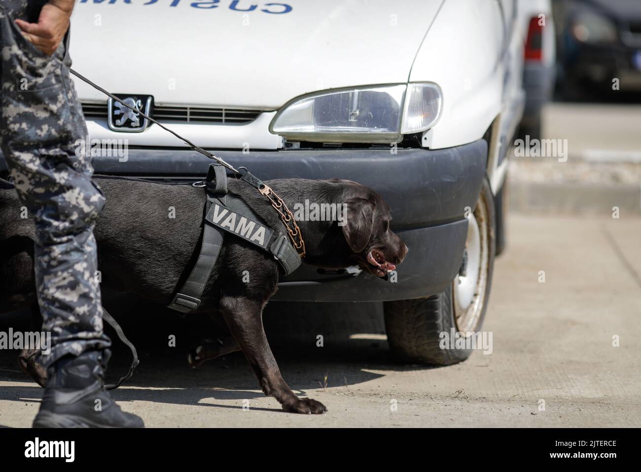 Bucharest, Romania - August 30, 2022: Officer from the Romanian customs ...