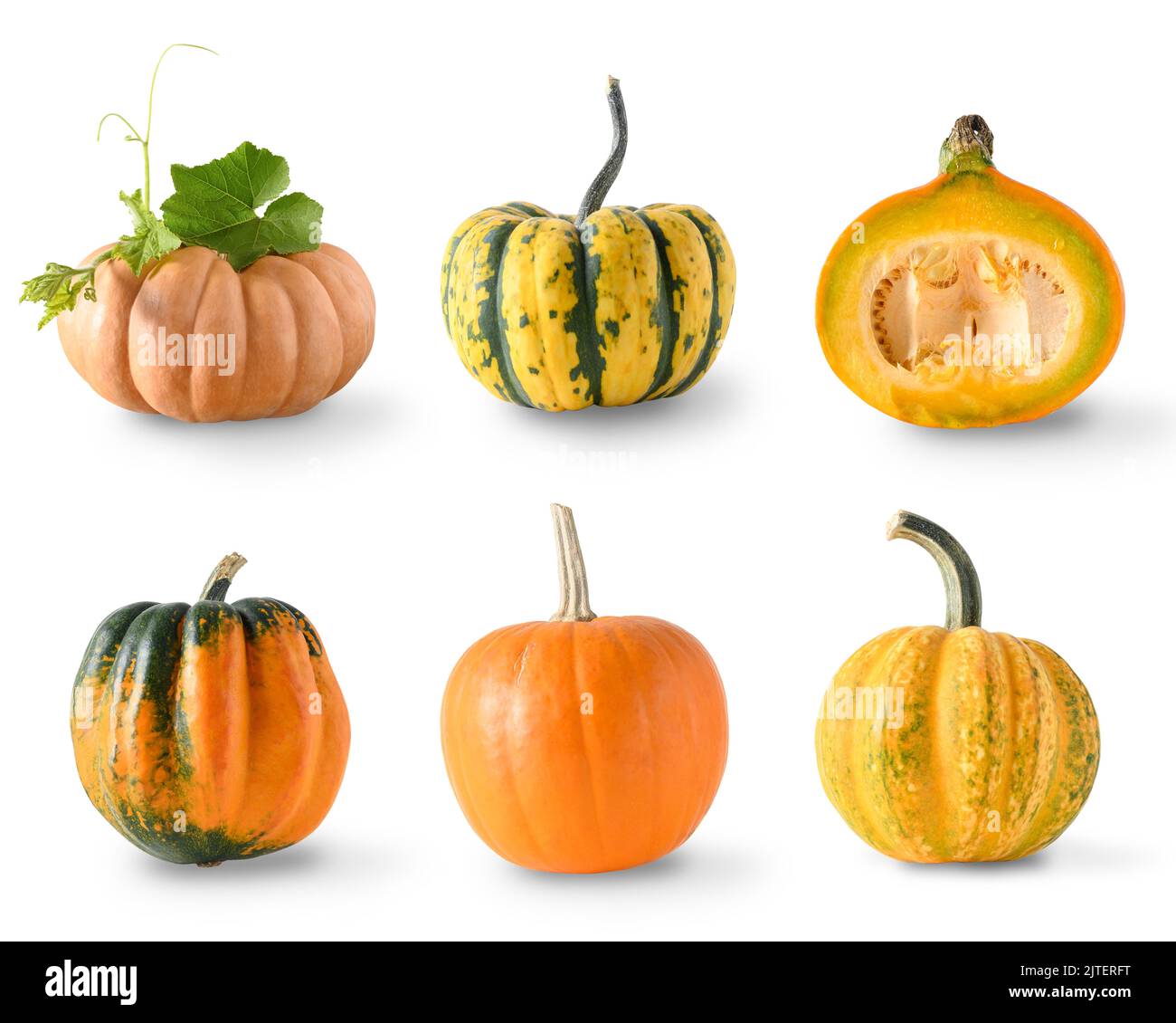 Set of different pumpkins isolated on white background Stock Photo - Alamy