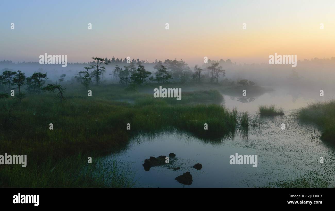 Dramatic artistic sunrise landscape with flooded wetlands, small marsh ...