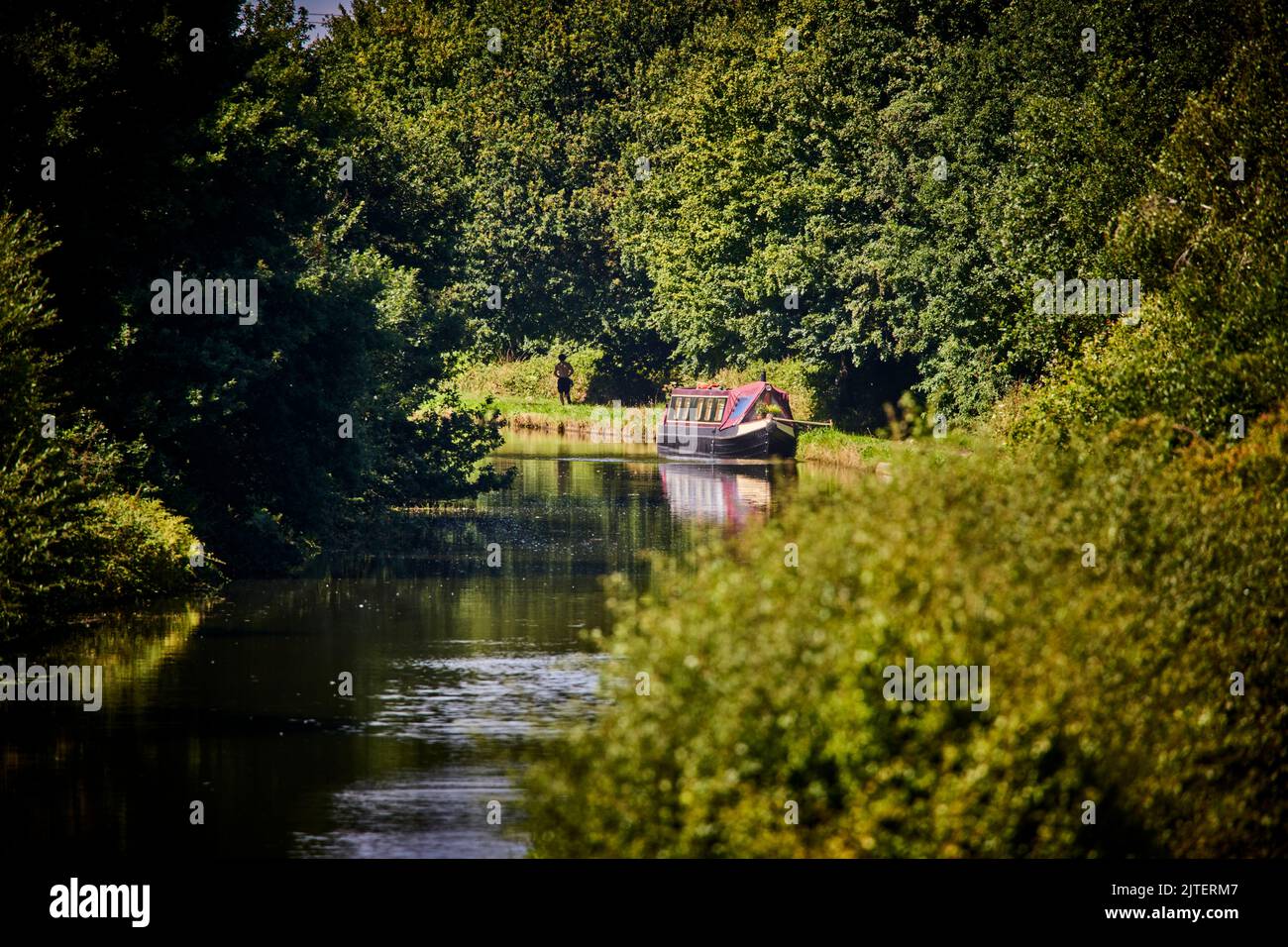 Dunham Massey, Cheshire the Bridgewater Canal Stock Photo - Alamy