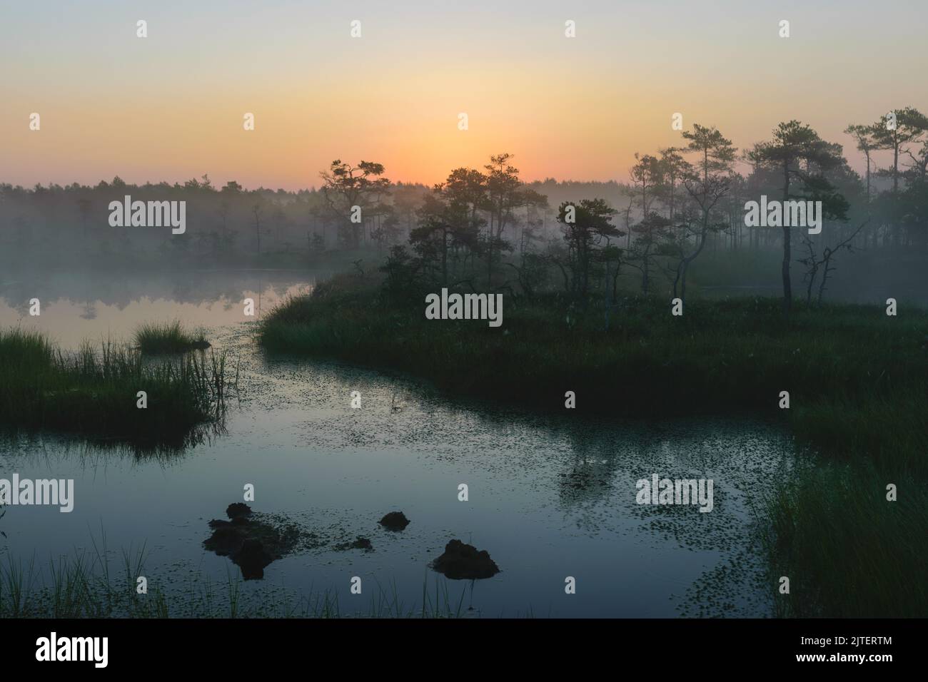 Dramatic artistic sunrise landscape with flooded wetlands, small marsh ...