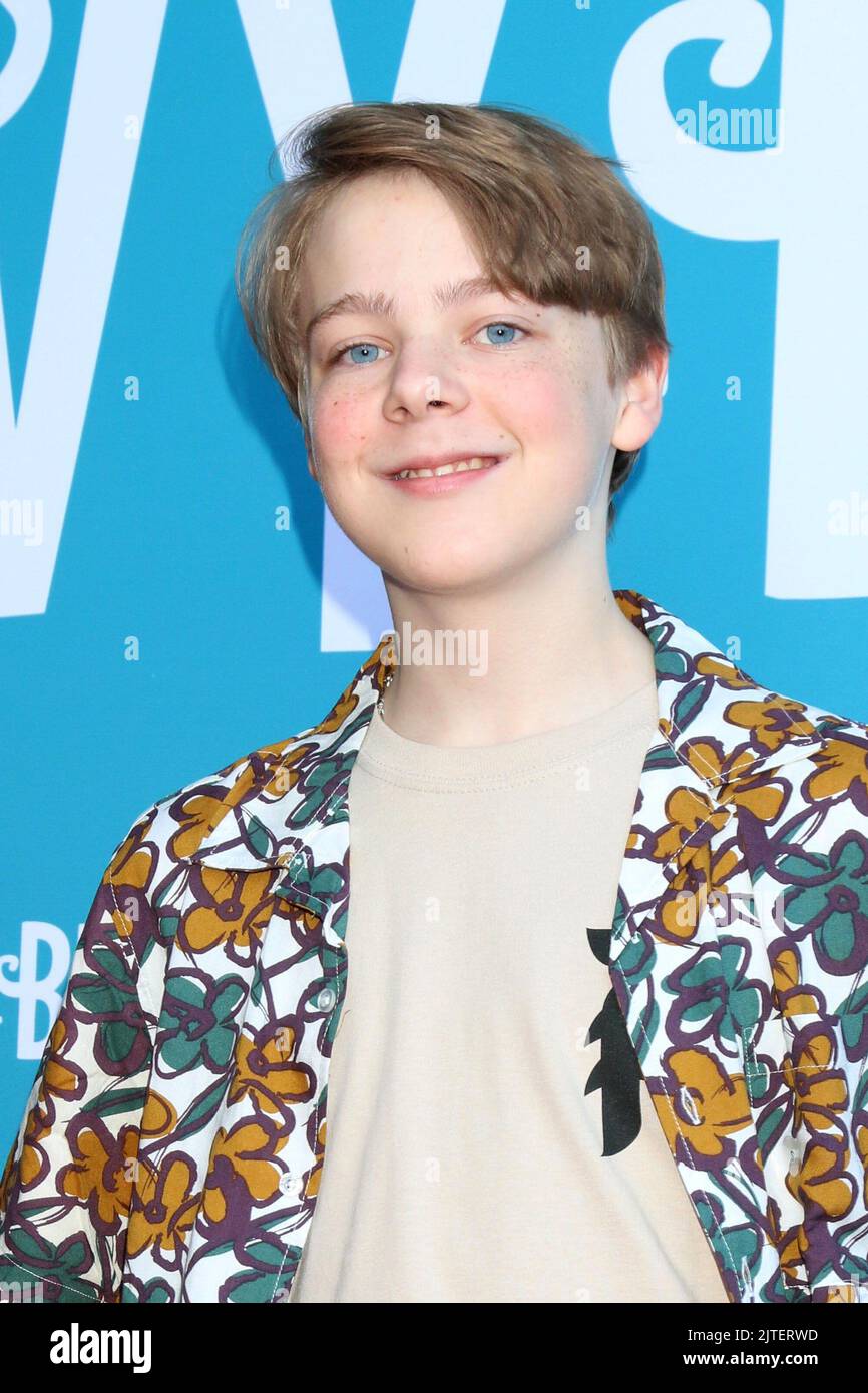 Los Angeles, CA. 29th Aug, 2022. Andy Walken at arrivals for IVY BEAN ...