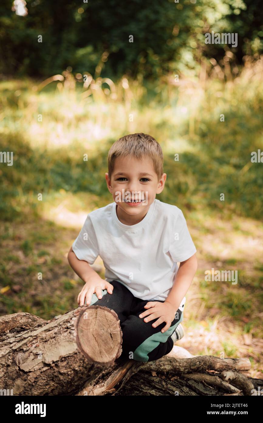 A little boy sits on a cut tree on a sunny day Stock Photo - Alamy