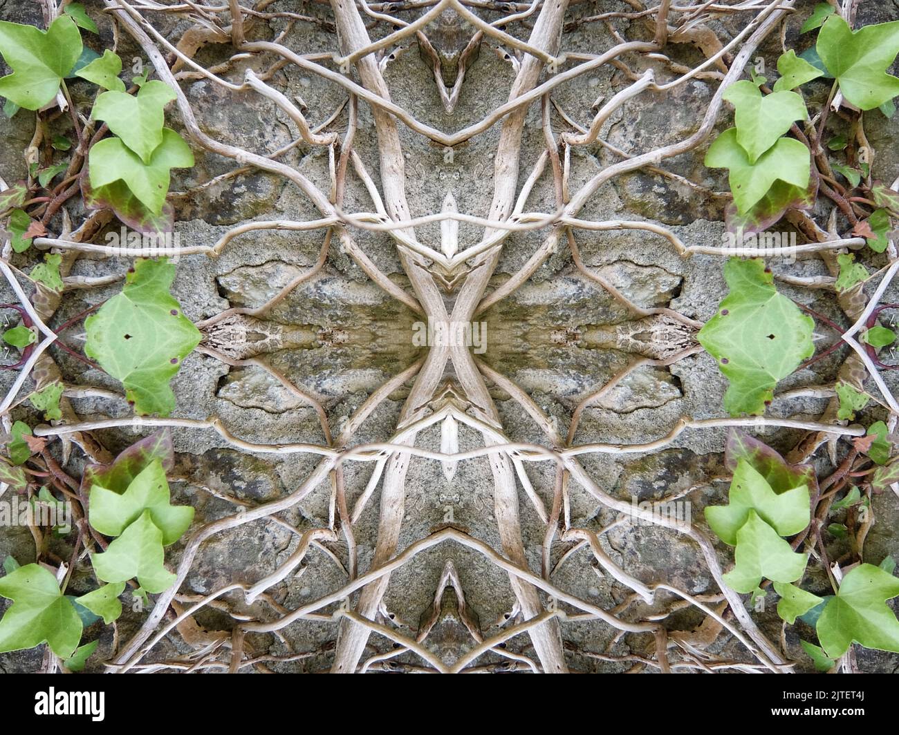 Mysterious kaleidoscope repeat pattern of foliage roots and natural ...