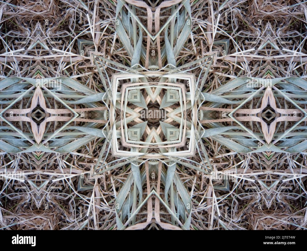 A beautiful intricate geometric repeat pattern formed with leaves and ...