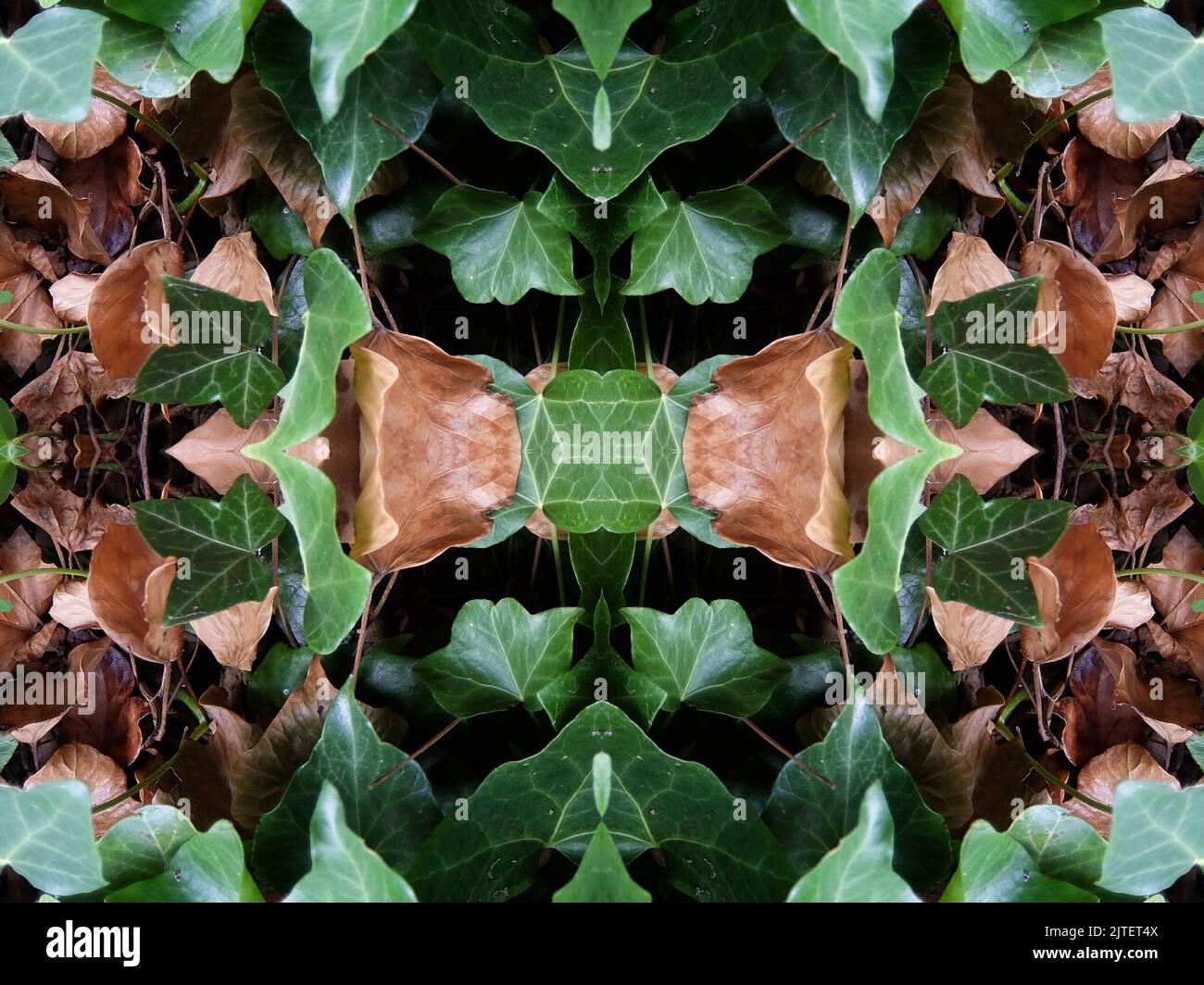 Beautiful colourful repeat pattern of leaves foliage and natural ...