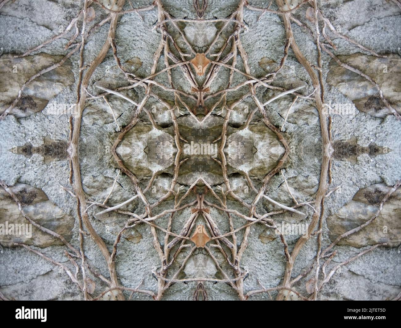 Mysterious kaleidoscope repeat pattern of foliage roots and natural ...