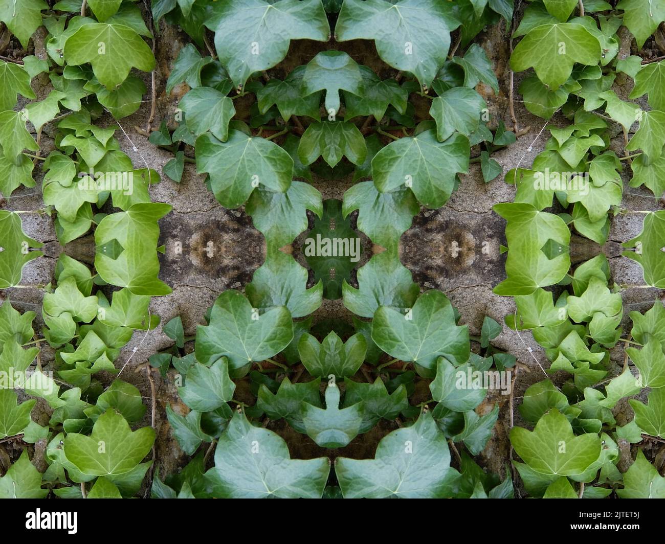 Beautiful colourful repeat pattern of leaves foliage and natural ...