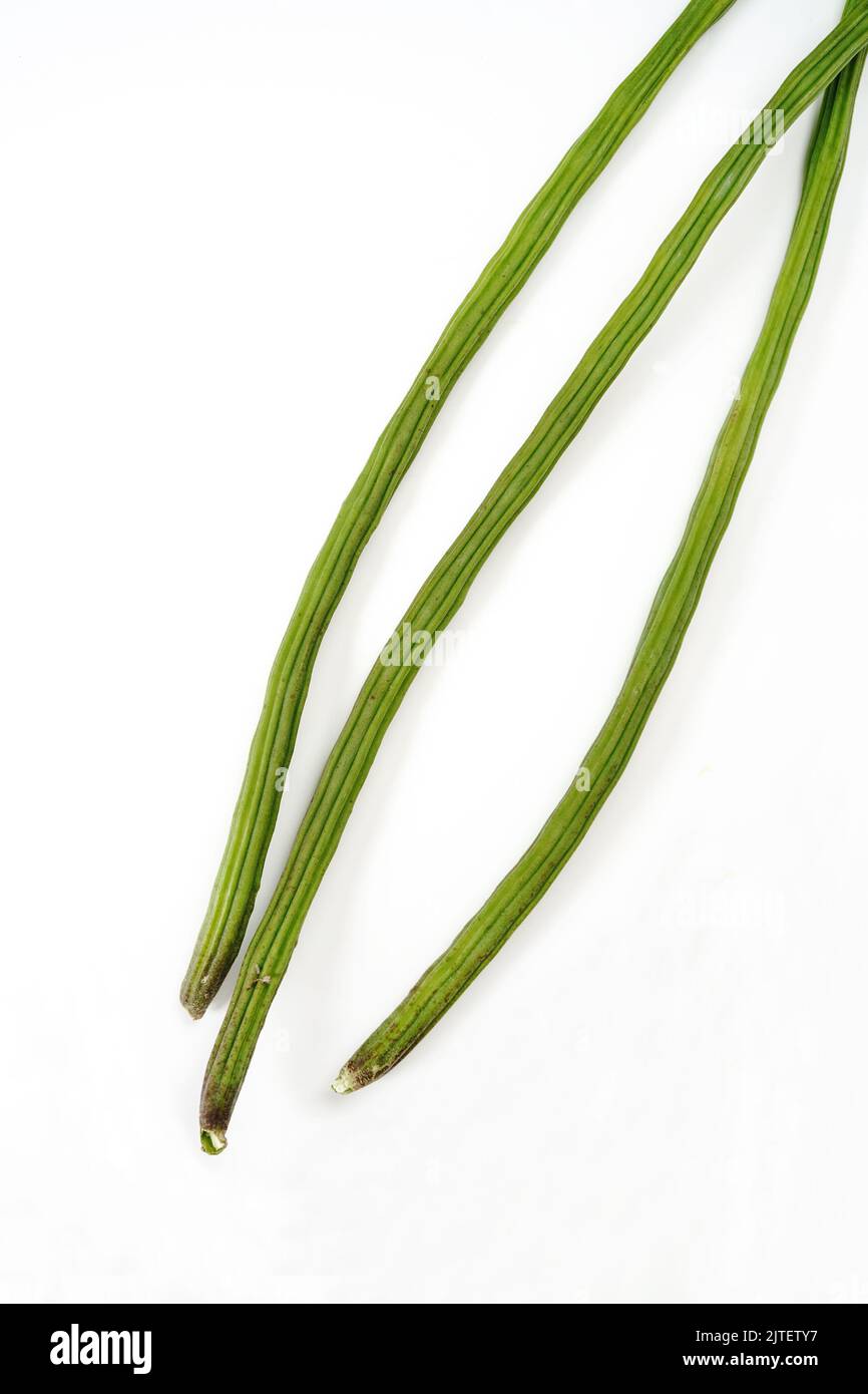 Moringa genus hi-res stock photography and images - Alamy