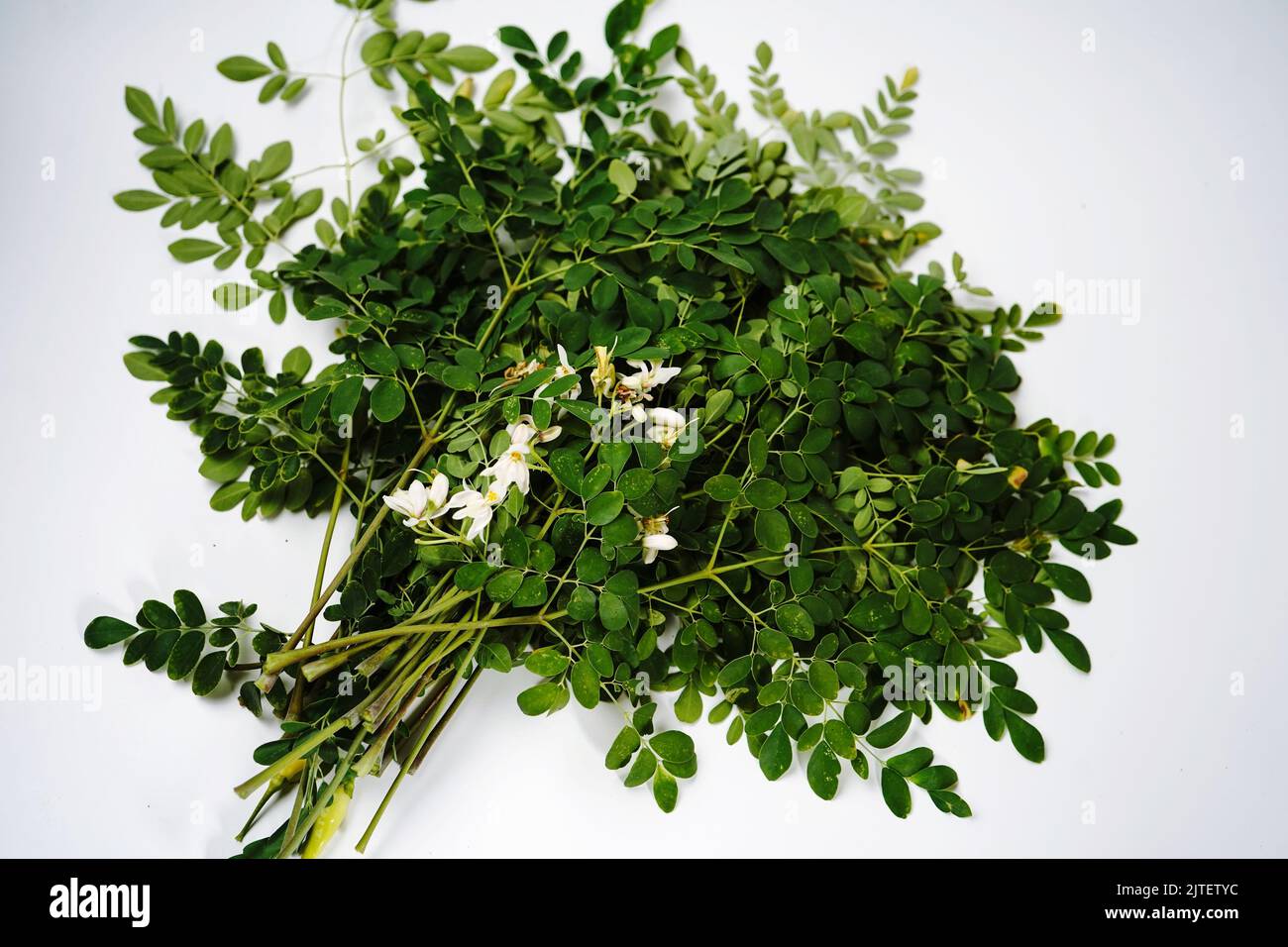 Fresh homegrown Moringa or Muringa leaves isolated on white background ...