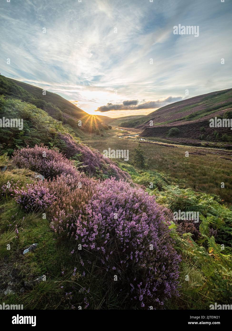 Forest of Bowland UK, Weather news. Tuesday 30th August 2022. It's a ...
