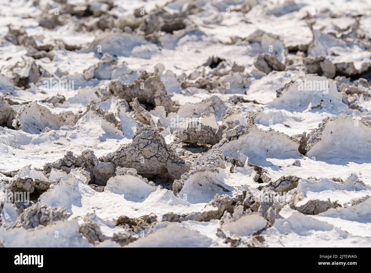 Parched ground cracked clay mud dried up in a lake. Etosha National ...