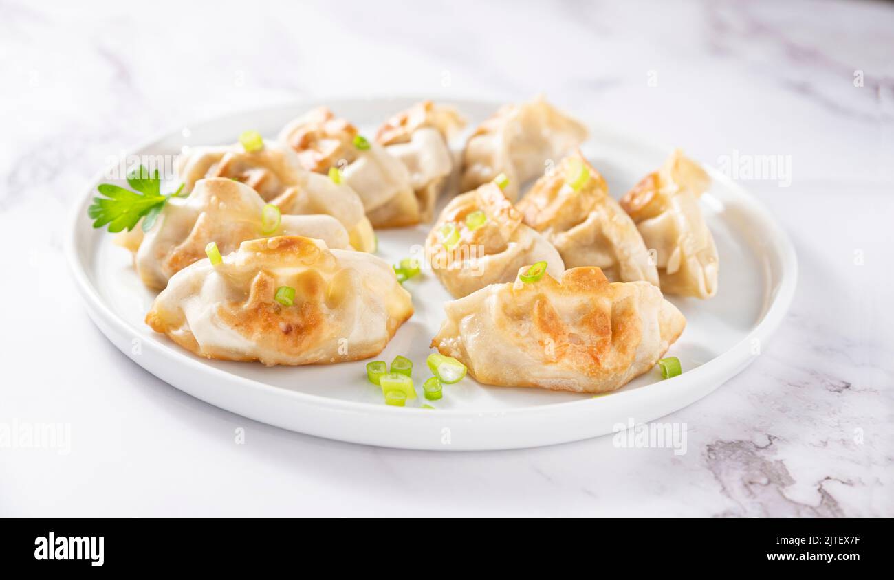 Fried dumplings . Gyoza. Healthy eating and young spring green onions ...