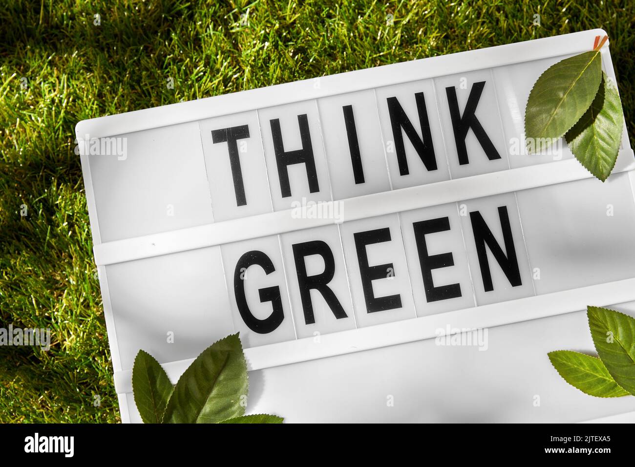 light box with think green words on grass Stock Photo - Alamy