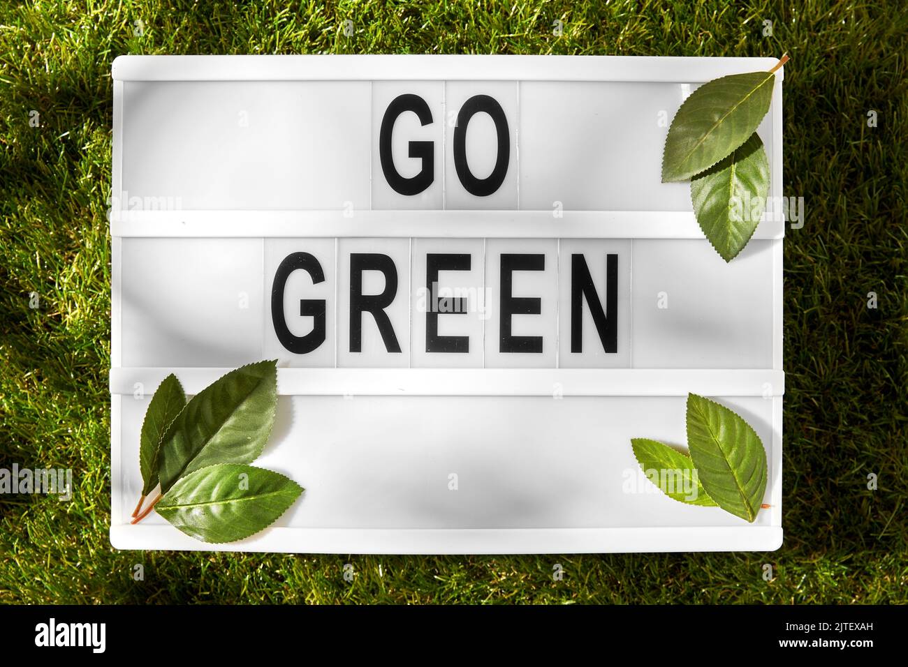 light box with go green words on grass Stock Photo - Alamy