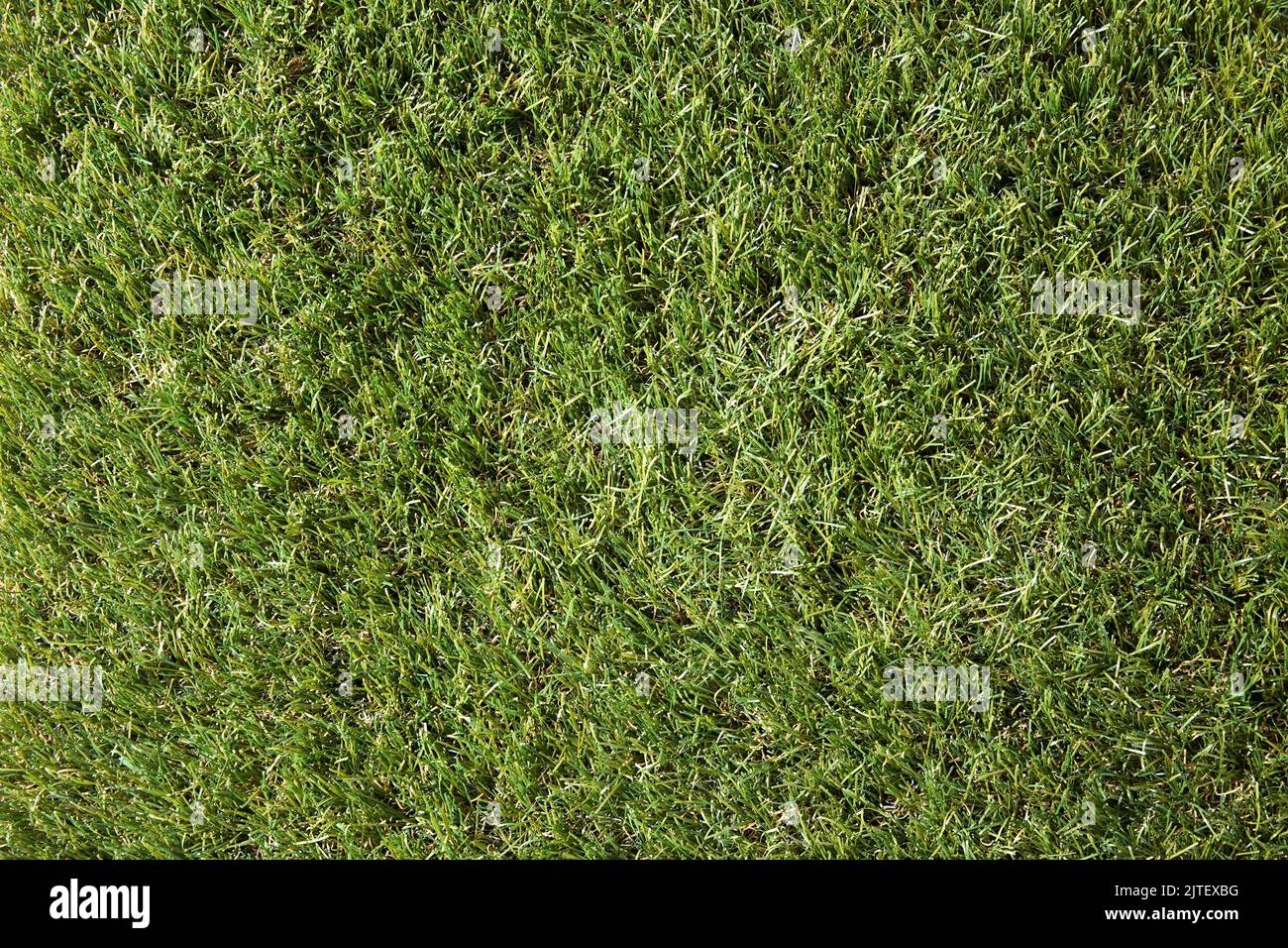 Artificial grass close up hi-res stock photography and images - Alamy