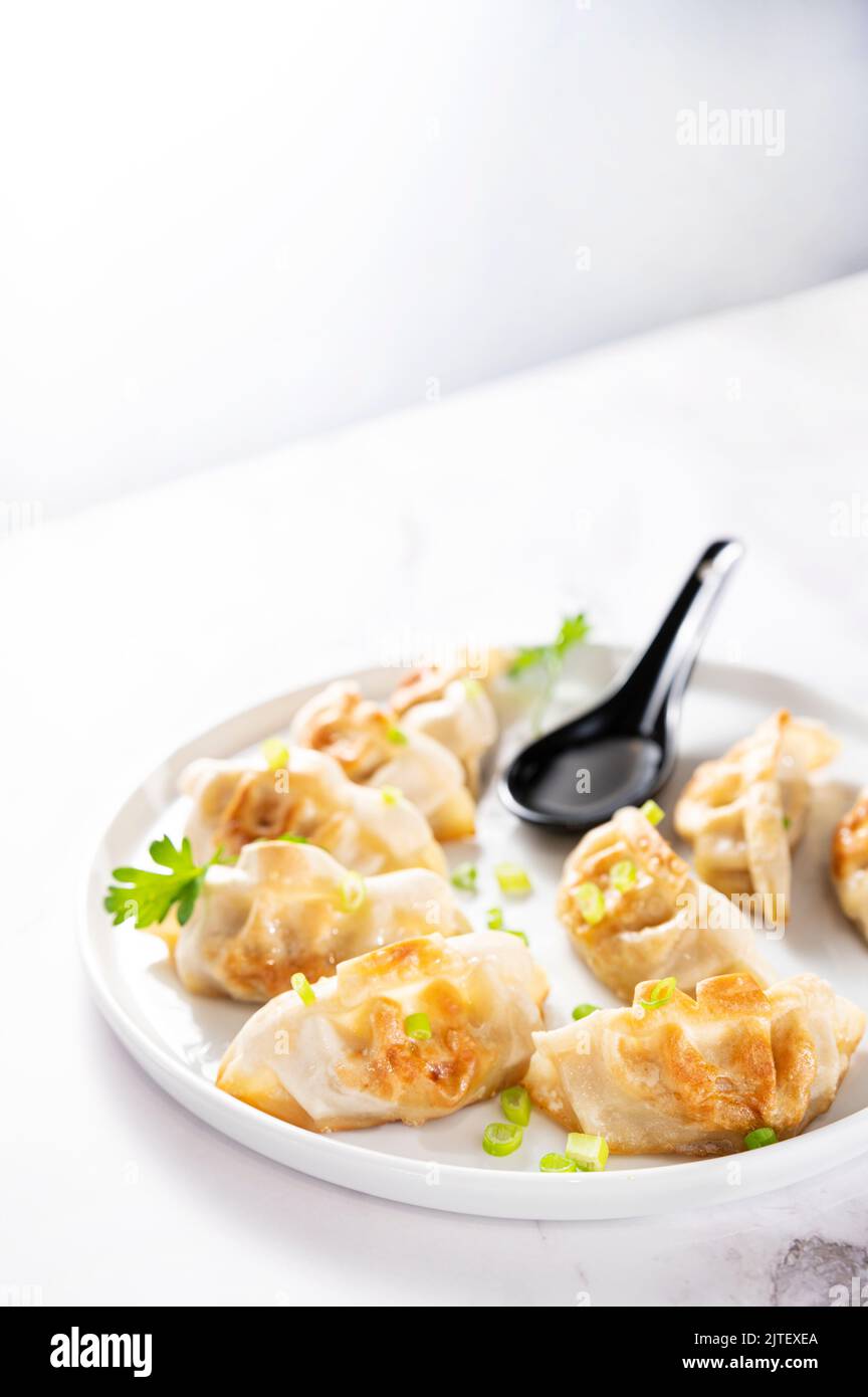 Fried dumplings with sauce . Gyoza. Healthy eating and young spring ...