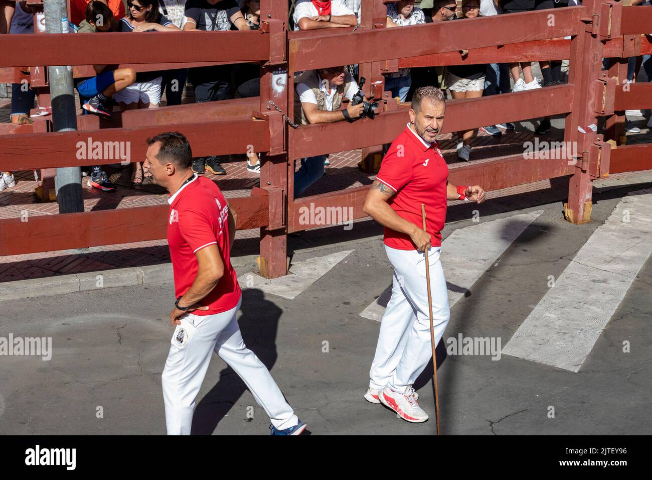Running of the bulls. Bulls. Bull runs. San Fermines. Encierro that is ...