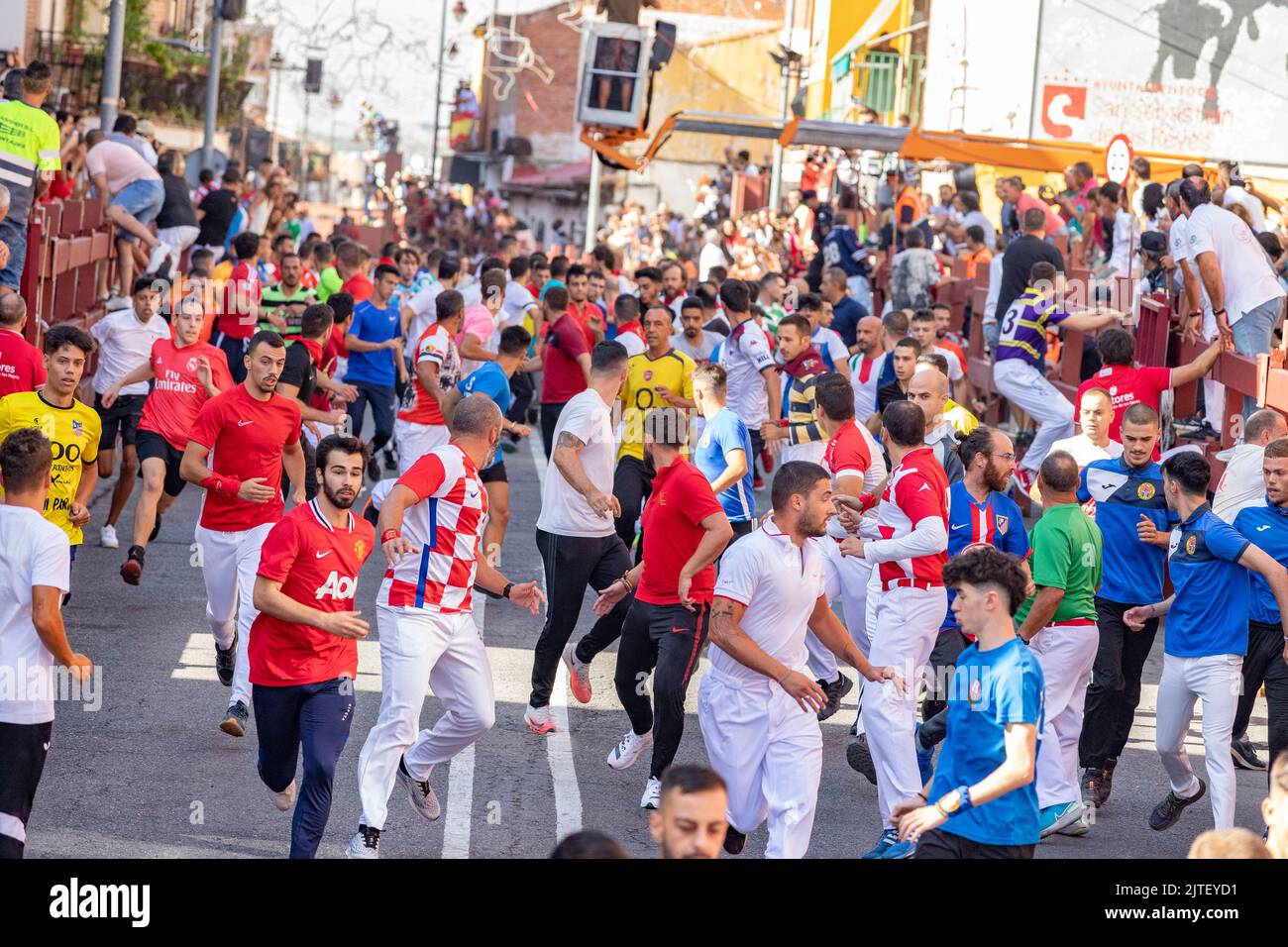 Running of the bulls. Bulls. Bull runs. San Fermines. Encierro that is ...