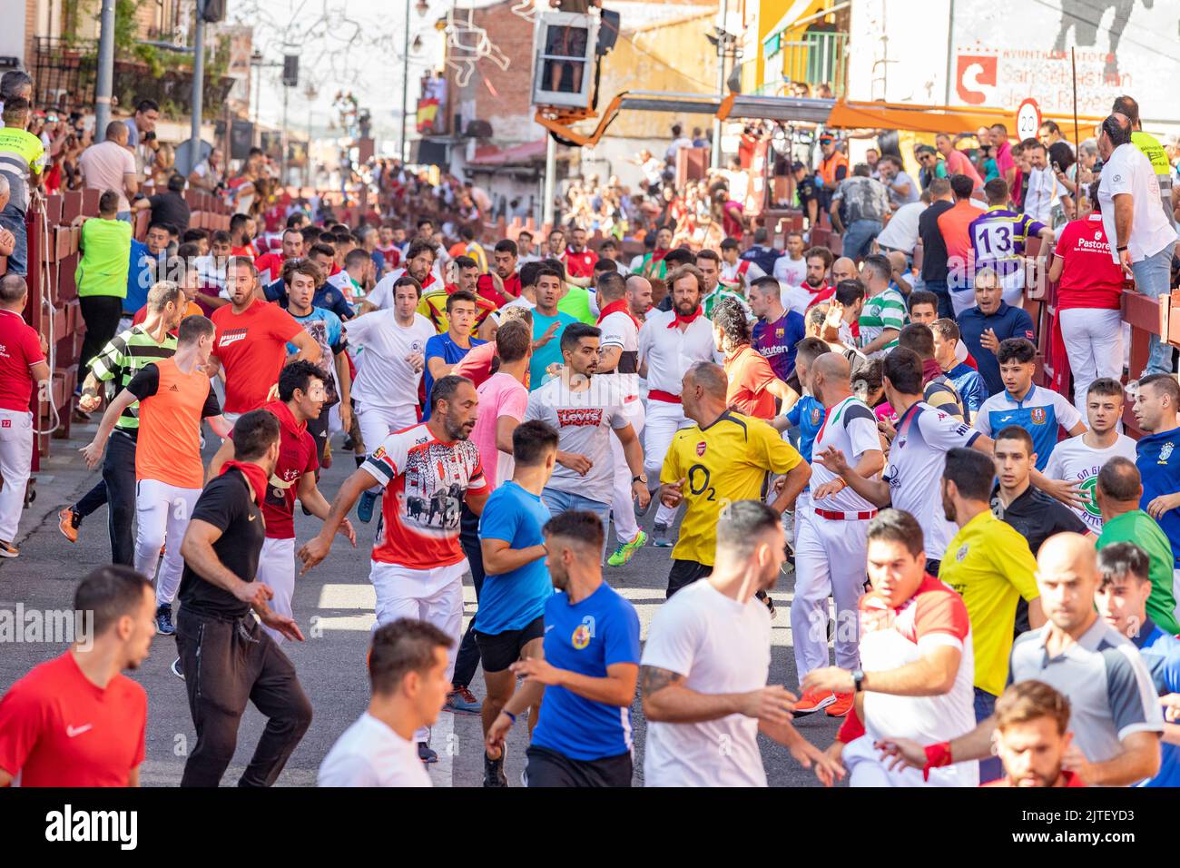 Running of the bulls. Bulls. Bull runs. San Fermines. Encierro that is ...