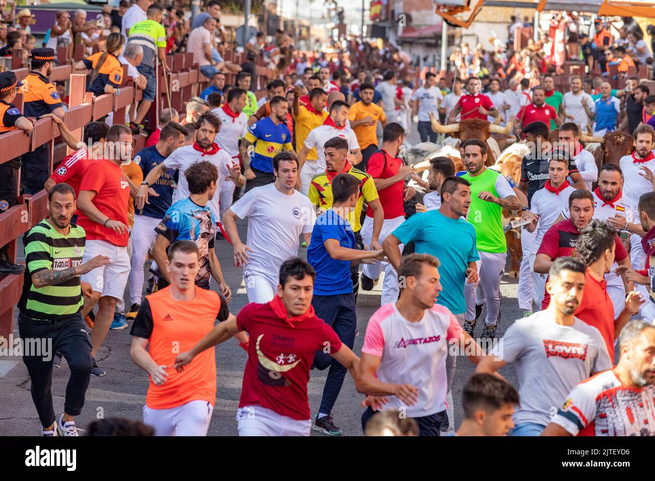 Running of the bulls. Bulls. Bull runs. San Fermines. Encierro that is ...