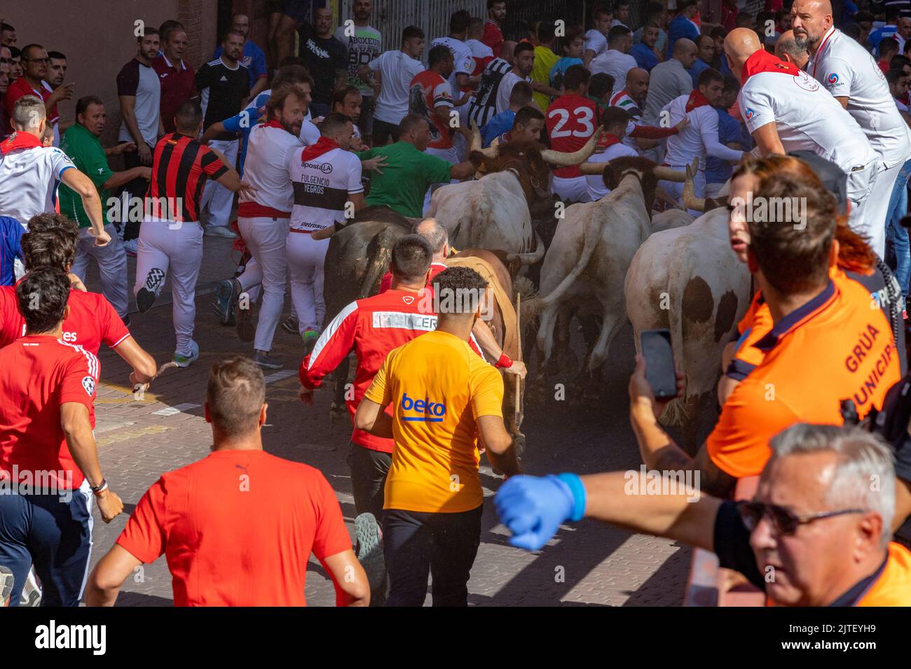 Running of the bulls. Bulls. Bull runs. San Fermines. Encierro that is ...
