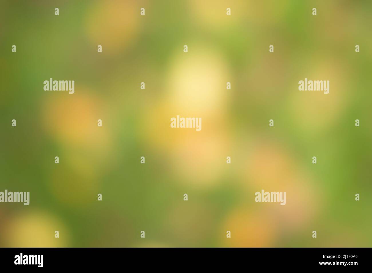 blurred defocused nature background at horizontal Stock Photo - Alamy