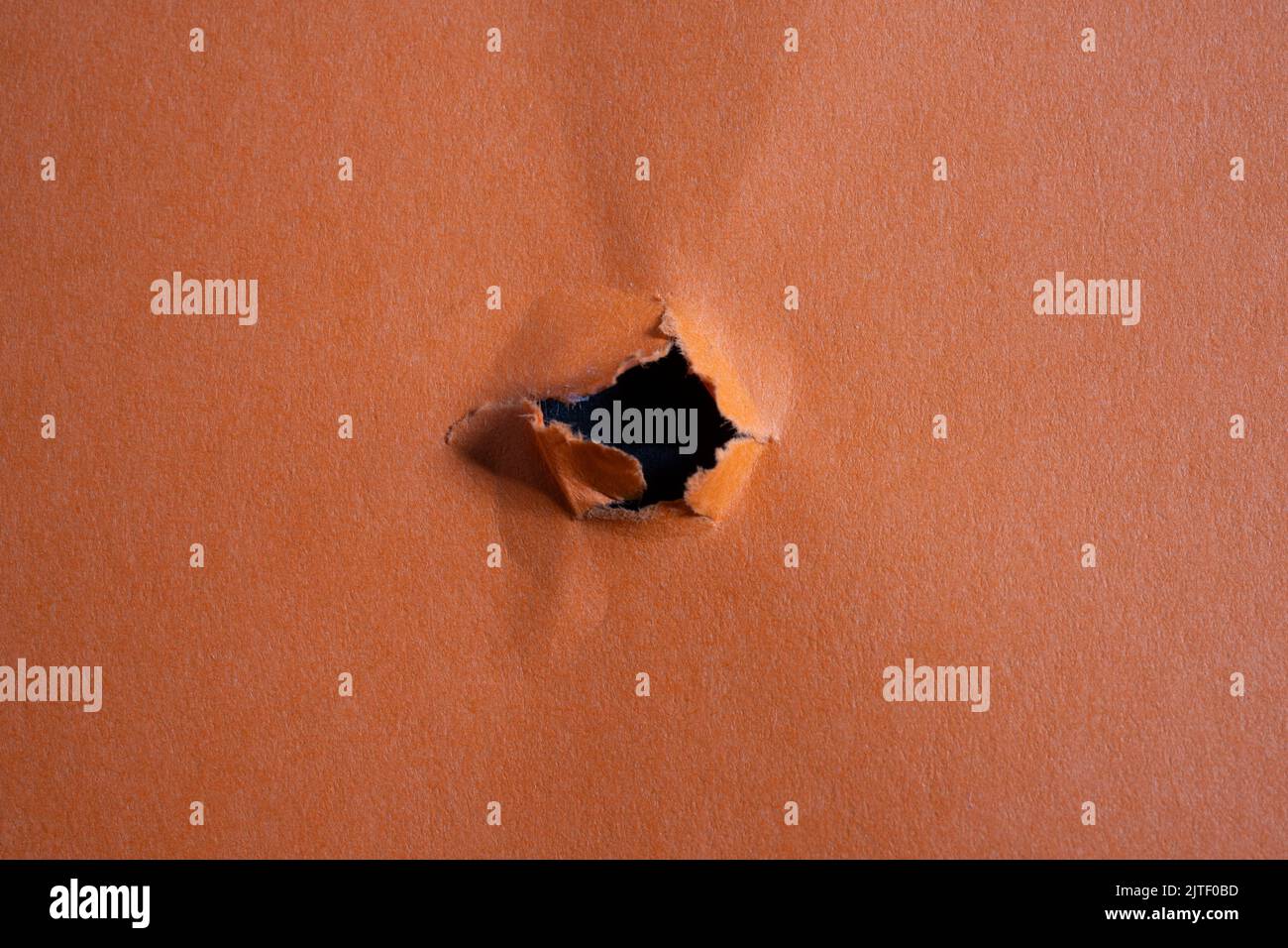 Cardboard game sheet hi-res stock photography and images - Alamy