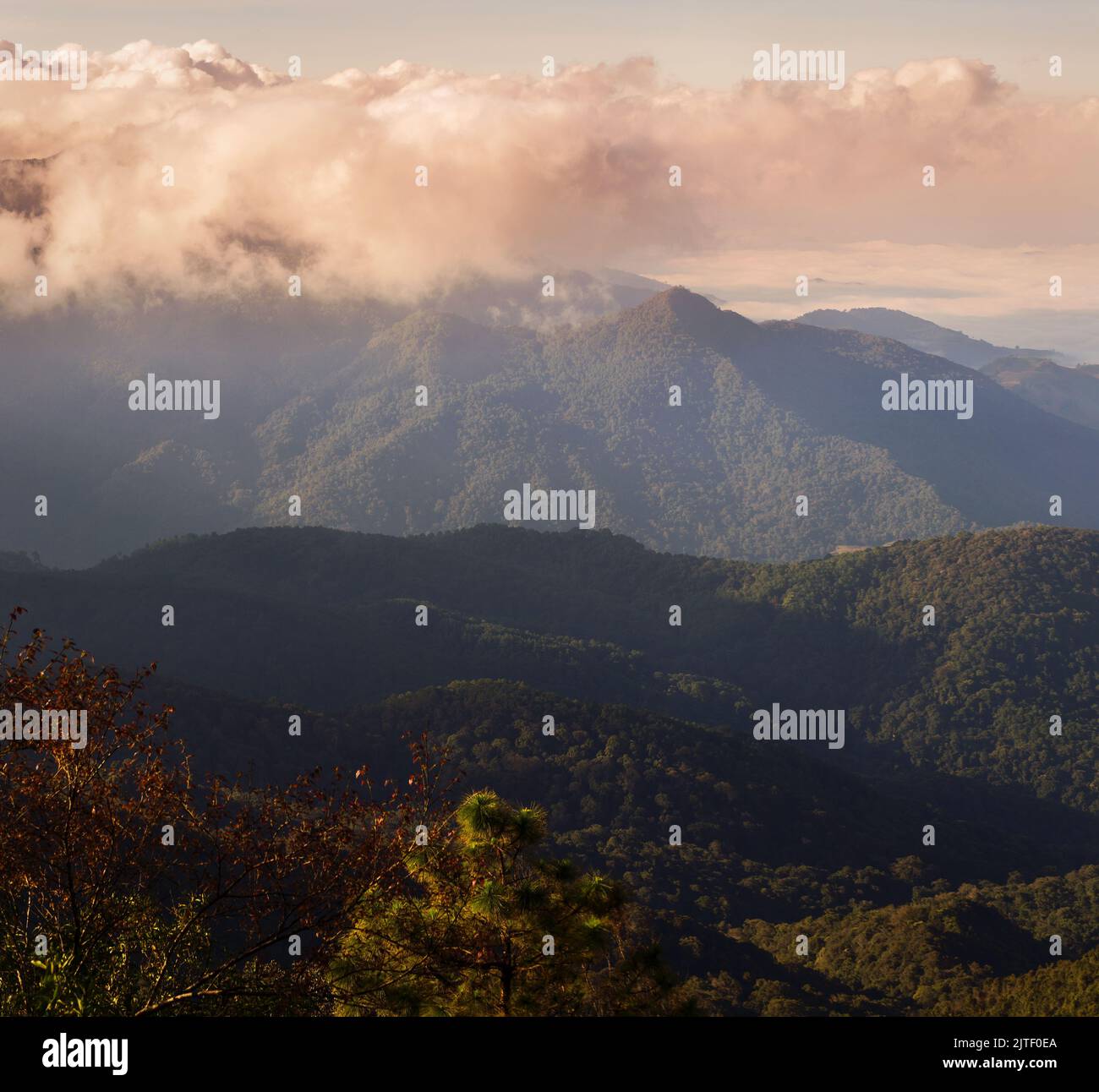 the lines and pattern mountains of rain forest a nature background ...