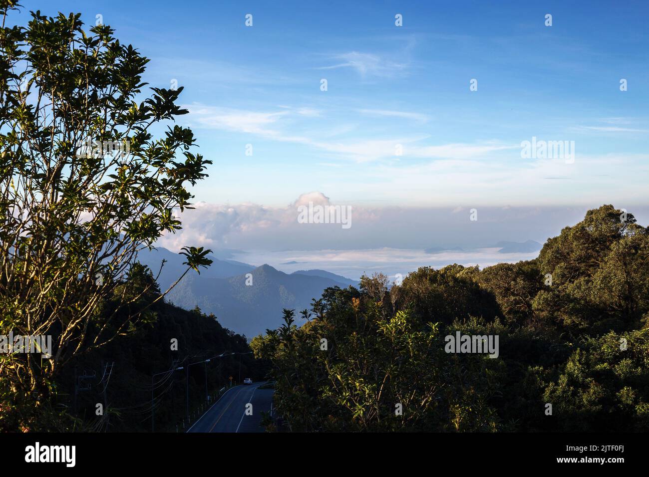the lines and pattern mountains of rain forest a nature background ...