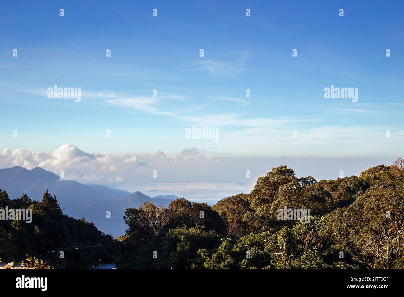 the lines and pattern mountains of rain forest a nature background ...