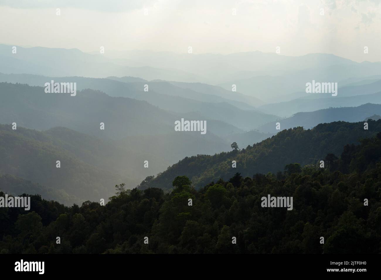 the lines and pattern mountains of rain forest a nature background ...