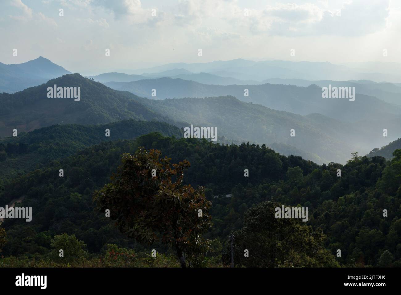 the lines and pattern mountains of rain forest a nature background ...
