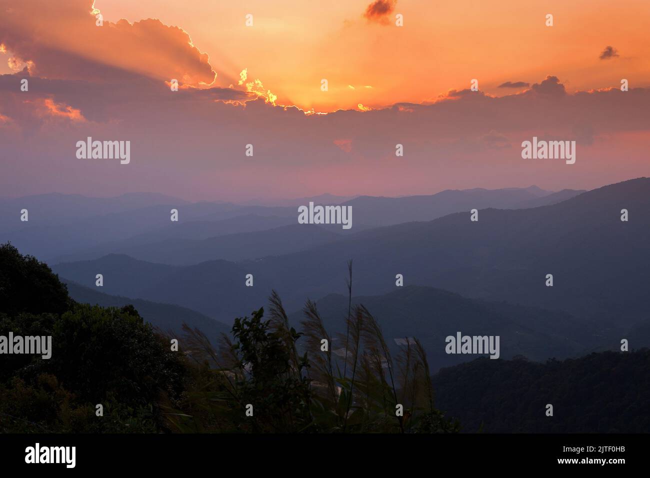 the lines and pattern mountains of rain forest a nature background ...
