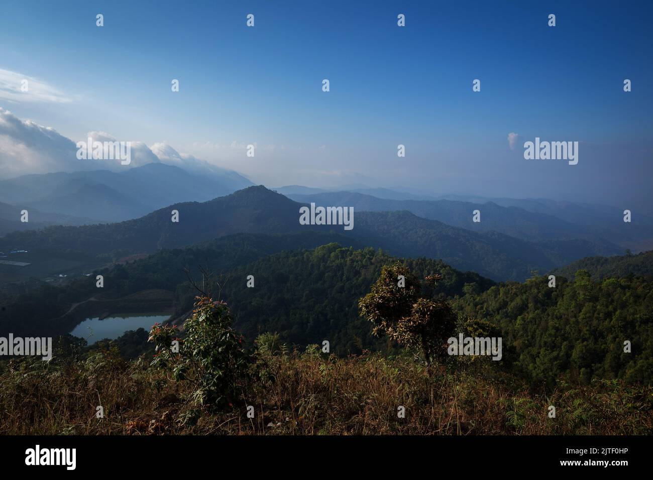 the lines and pattern mountains of rain forest a nature background ...