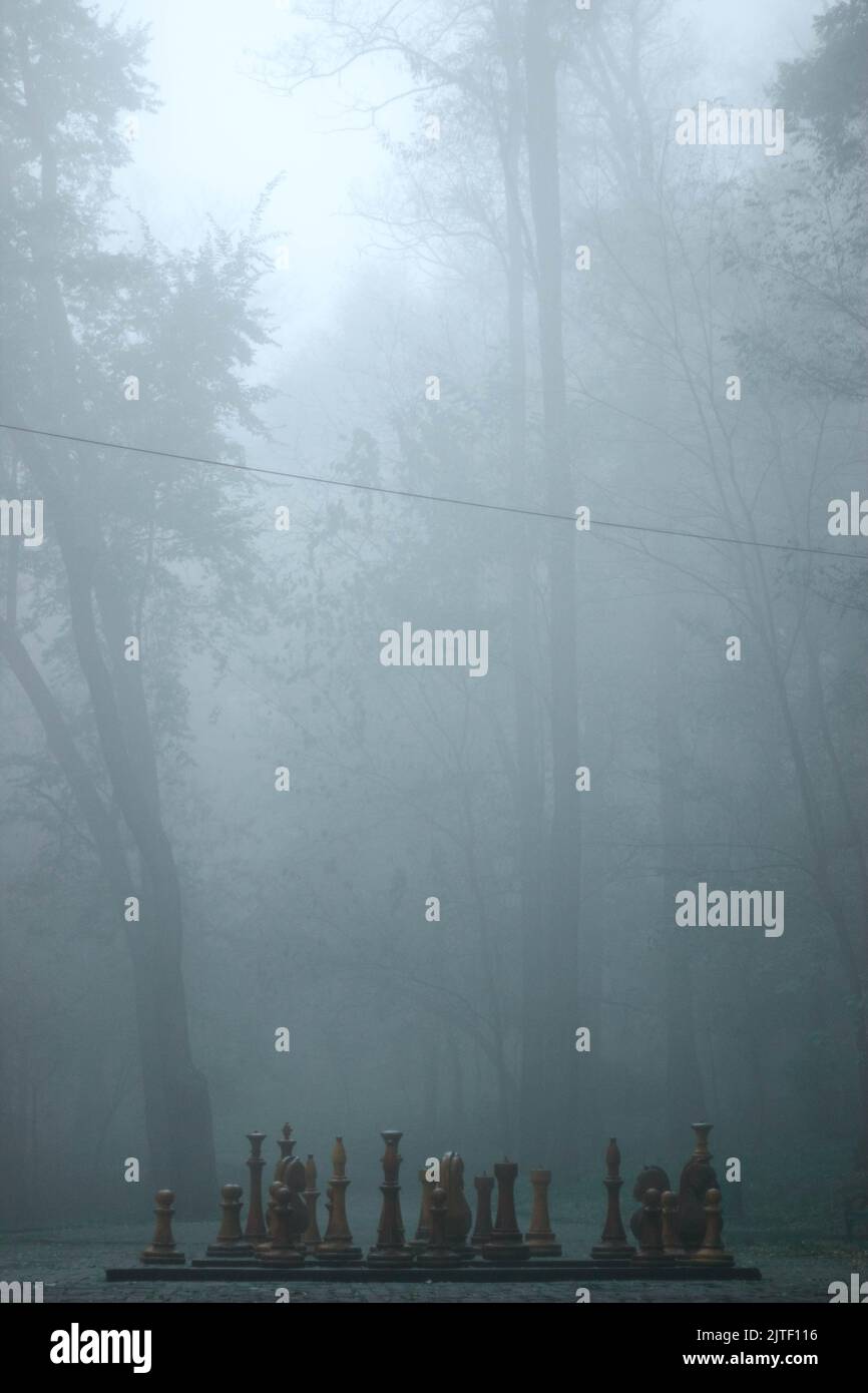 A vertical shot of big chess board and pawns in a foggy forest Stock ...