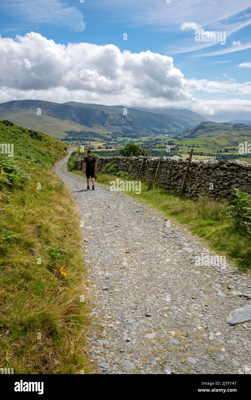 Man walker person walking along path down Blease Fell with Helvellyn ...