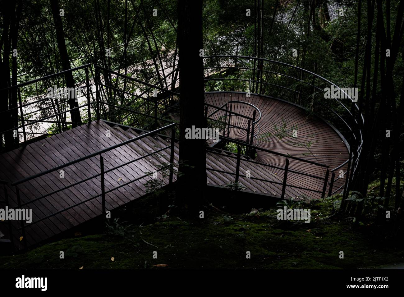 Wooden walking spiral staircase with green steel railing and ...