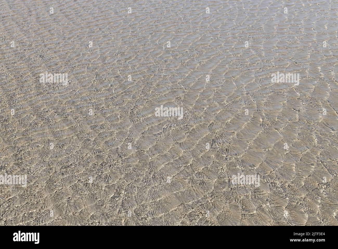 Shallow sandy beach at the north sea hi-res stock photography and ...