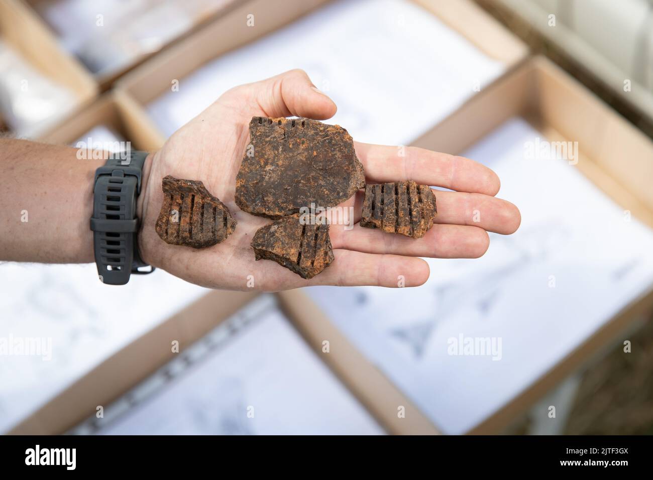 Neolithic pottery decorated hi-res stock photography and images - Alamy