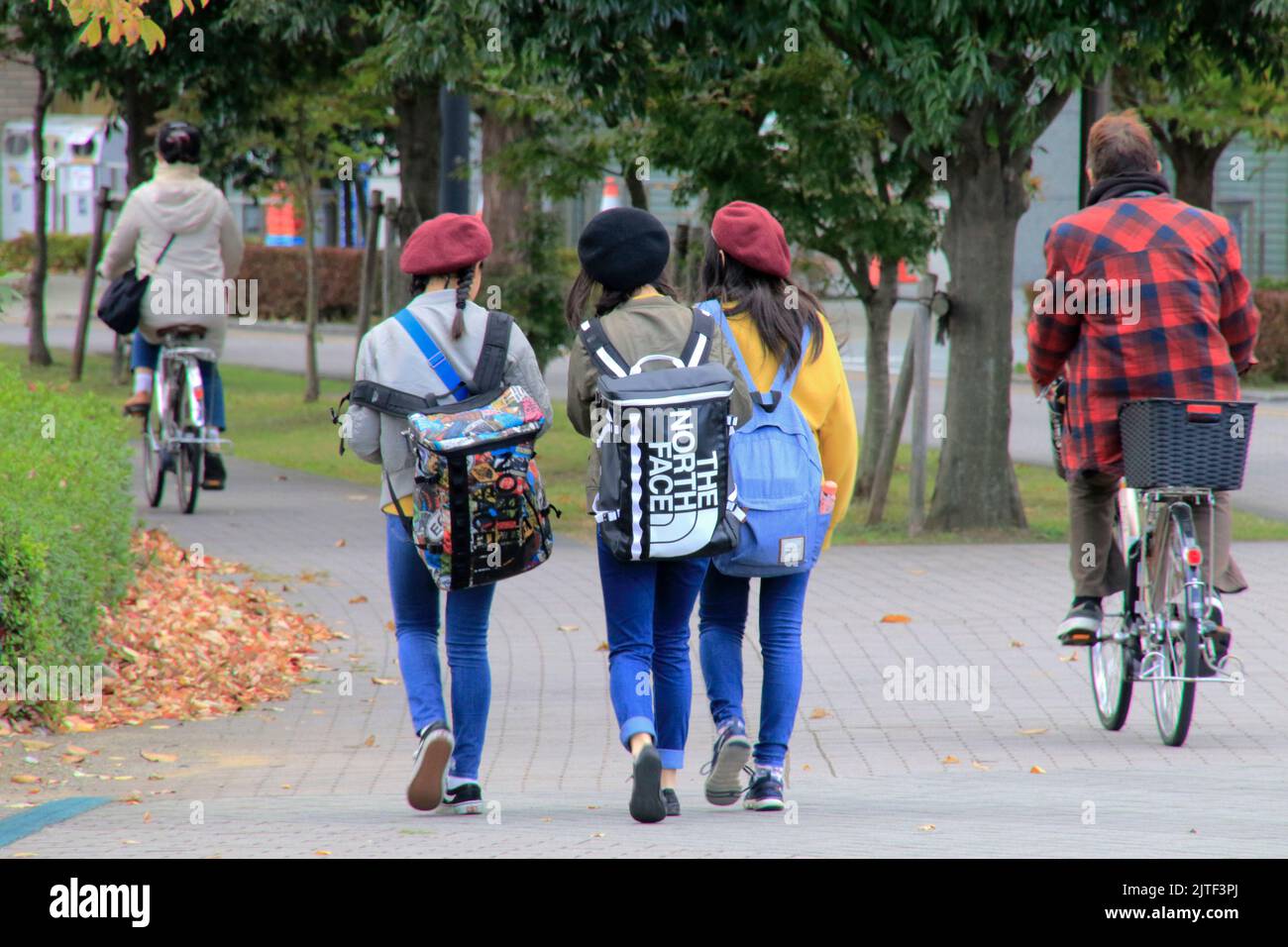 Showa koen hi-res stock photography and images - Alamy