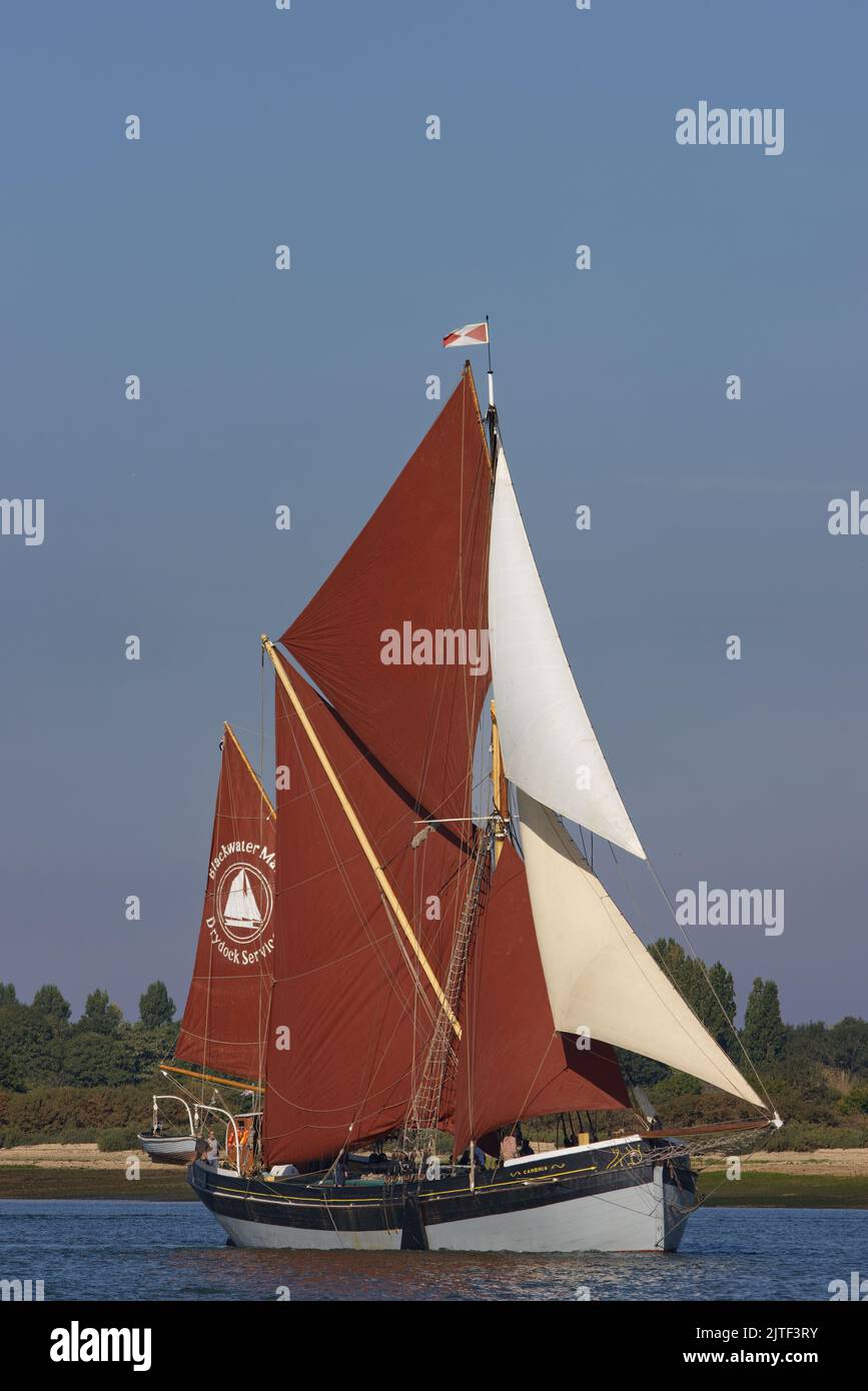 The Thames sailing barge Cambria in full sail on the river Blackwater ...
