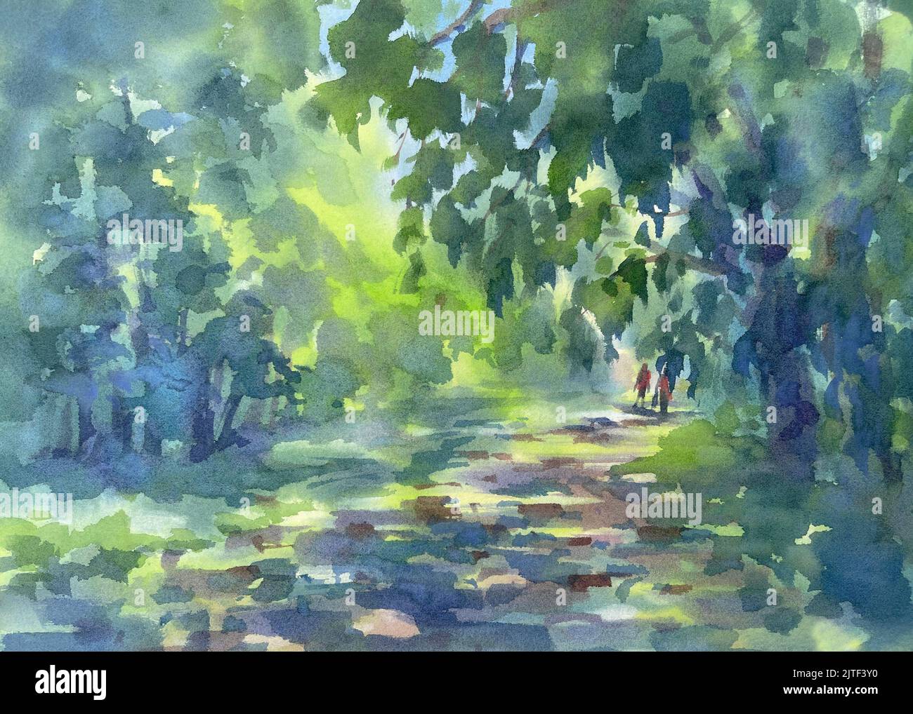 Forest path sunlight shadow watercolor background. Summer illustration ...