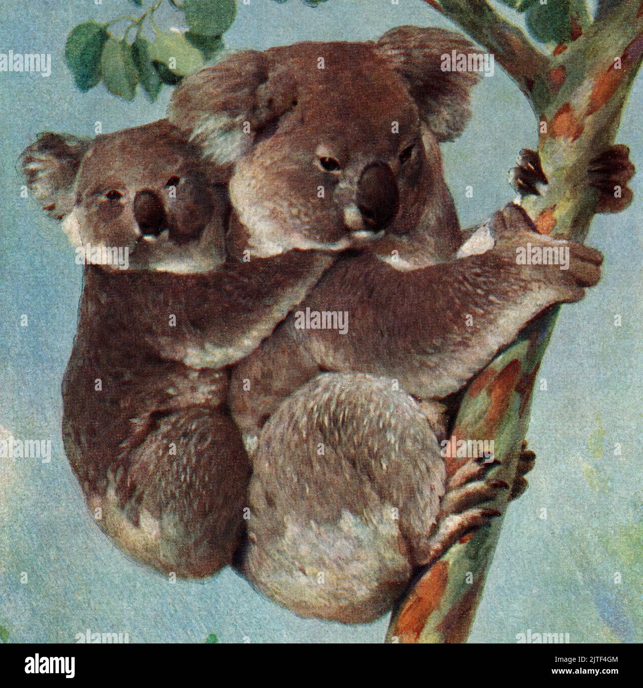 Kerr hi res hi-res stock photography and images - Alamy