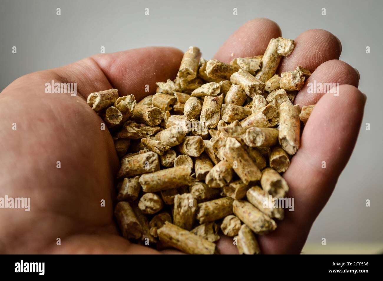 hand holding wood pellets going into the stove, alternative heating ...