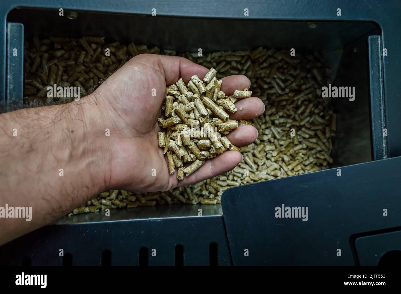 hand holding wood pellets going into the stove compartment, alternative ...